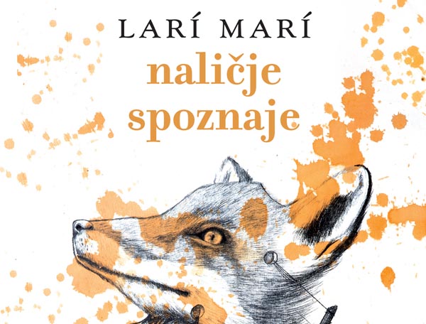 Intrigantni roman poznatog književnog dvojca čija proza liječi Larí ...
