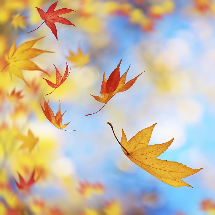 Sretan vam prvi dan jeseni! - Modni Almanah